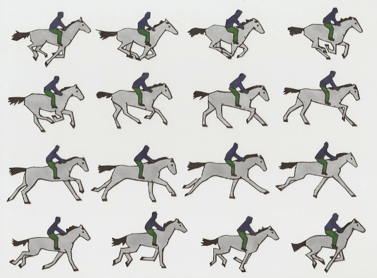 Horse Frames – Sierra Turner